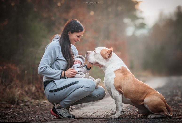 Our Kennel | Complete Bullies - Elite XL American Bully kennel